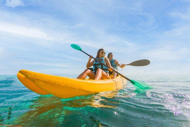 Royal Garragon with Dolphin Encounter in Isla Mujeres - Who Is This Tour Best For?