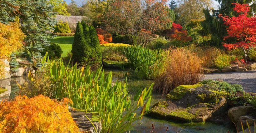 Royal Horticultural Society: Harlow Carr Garden Ticket - Exploring RHS Garden Harlow Carr: A Detailed Look