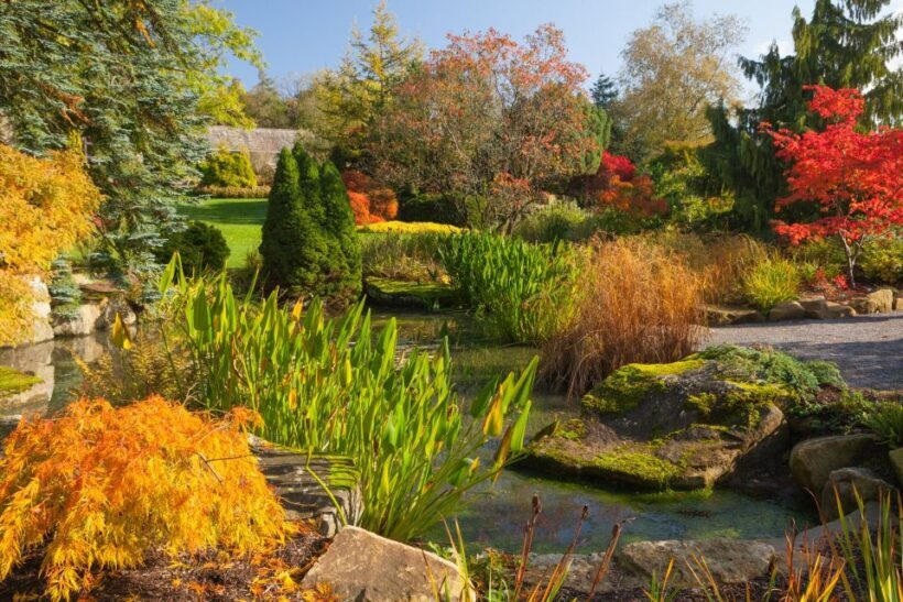 Royal Horticultural Society: Harlow Carr Garden Ticket - FAQ