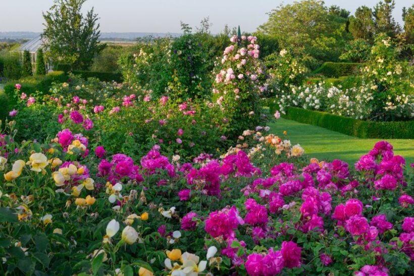 Royal Horticultural Society: Hyde Hall Garden Ticket - Final Thoughts: Who Will Love Hyde Hall?