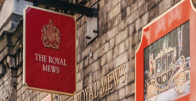 Royal London Private Tour with Skip-the-line Queens Gallery - Who Will Love This Tour?