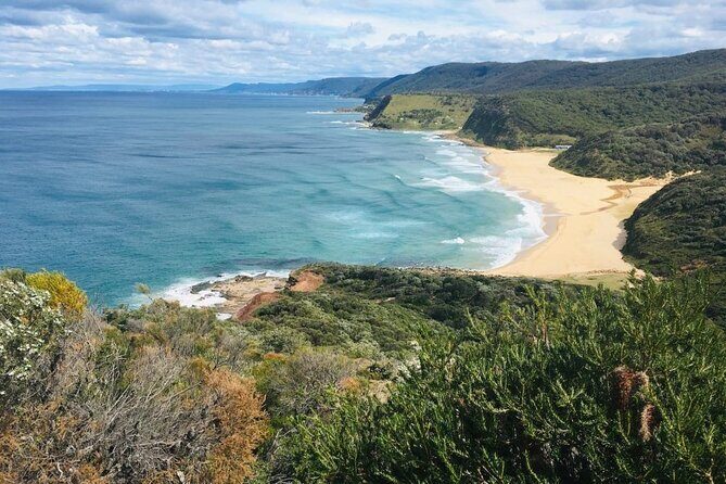 Royal National Park Hike, Swim and Wildlife Tour - Logistics and Practicalities