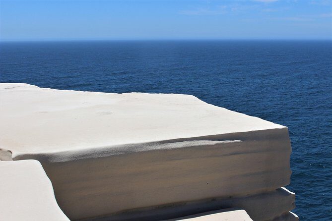 Royal National Park Private Tour - Exploring the Royal National Park Private Tour: An Authentic Coastal Adventure
