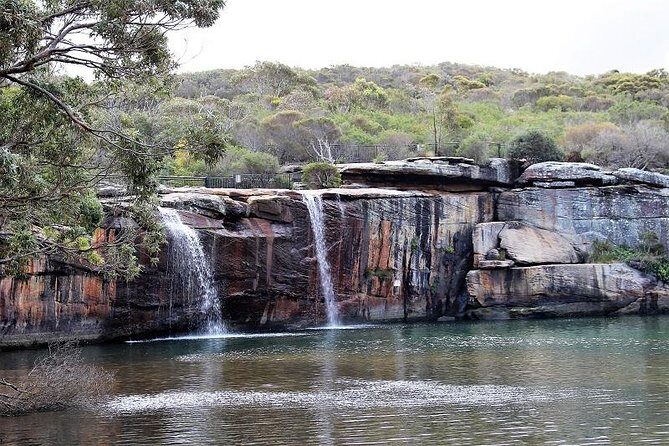 Royal National Park Private Tour - Final Thoughts: Is This Tour Worth It?