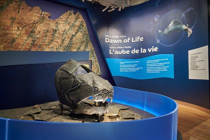 Royal Ontario Museum Admission - The Experience: Authentic Insights from Visitors