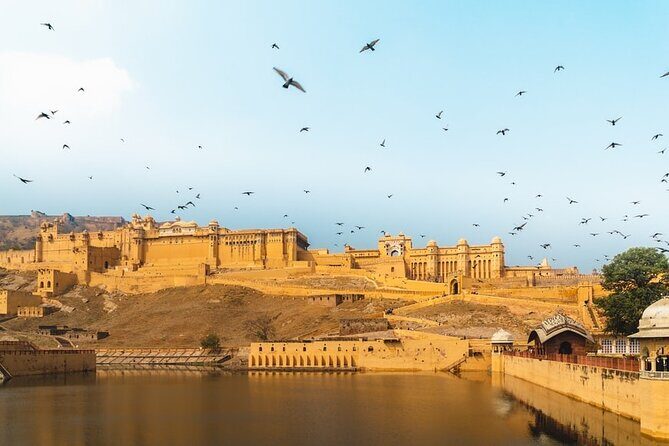 Royal Tour of Jaipur City - Private Tour by Vintage Car - An In-Depth Look at the Jaipur Vintage Car Tour