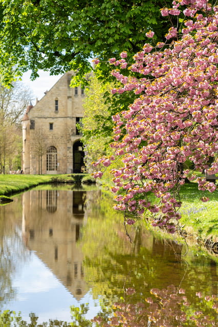 Royaumont Abbey Entrance Ticket - Key Points