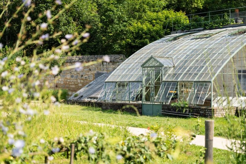 Royaumont Abbey Entrance Ticket - Cultural Events and Activities