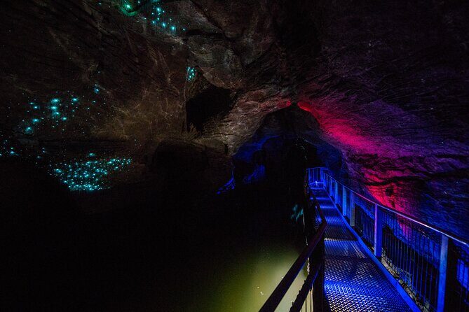 Ruakuri Cave and Hamilton Gardens Private Day Tour from Auckland - Detailed Review of the Experience