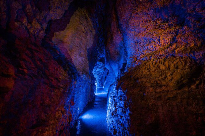 Ruakuri Cave and Hamilton Gardens Private Day Tour from Auckland - Final Thoughts
