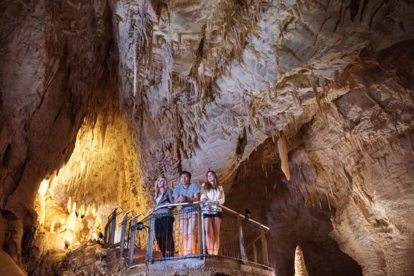 RUAKURI CAVE & HAMILTON GARDENS-PRIVATE TOUR FROM AUCKLAND - Descending into Ruakuri Cave