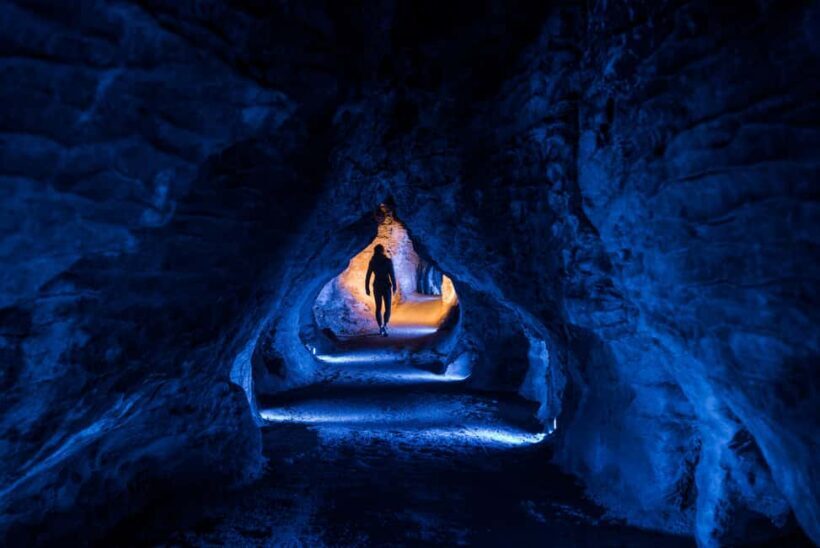 RUAKURI CAVE & HAMILTON GARDENS-PRIVATE TOUR FROM AUCKLAND - Learning about Glowworms and Cave Formation
