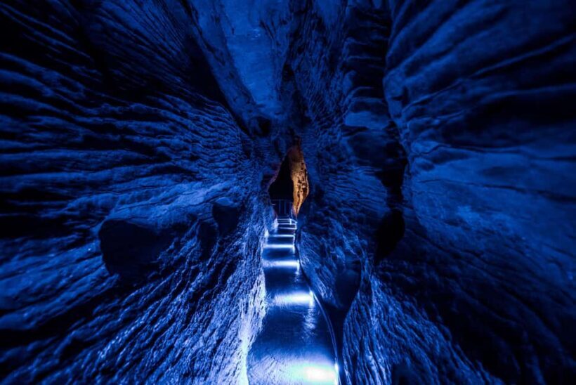 RUAKURI CAVE & HAMILTON GARDENS-PRIVATE TOUR FROM AUCKLAND - Scenic Return to Auckland