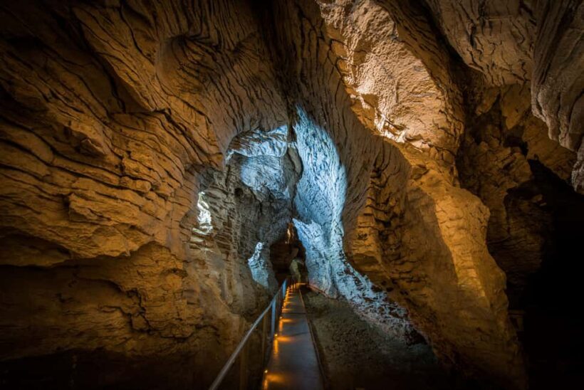 RUAKURI CAVE & HAMILTON GARDENS-PRIVATE TOUR FROM AUCKLAND - Analyzing the Tour’s Value