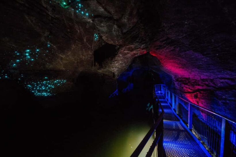 RUAKURI CAVE & HAMILTON GARDENS-PRIVATE TOUR FROM AUCKLAND - Who Will Love This Tour?