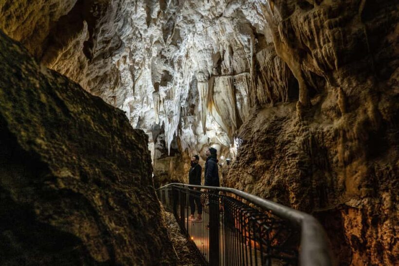RUAKURI CAVES & HAMILTON GARDENS - Day Tour from Auckland - FAQ