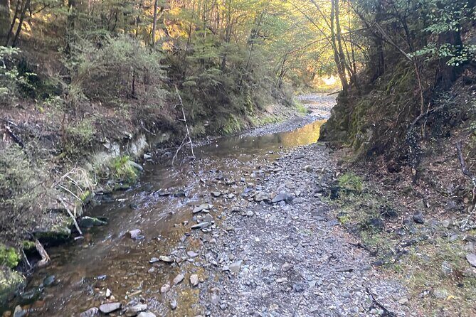 Rubicon Valley Horse Treks - 2 Hour River Trail Horse Trek - The Sum Up