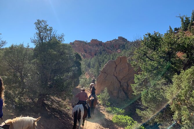 Rubys Horseback Adventures Utah Half Day Ride - Health and Safety Considerations