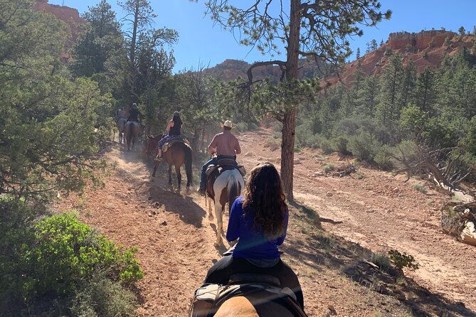 Rubys Horseback Adventures Utah Half Day Ride - Customer Experiences and Feedback