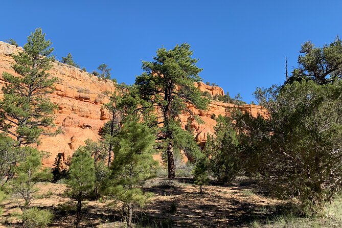 Rubys Horseback Adventures Utah Half Day Ride - Areas for Improvement