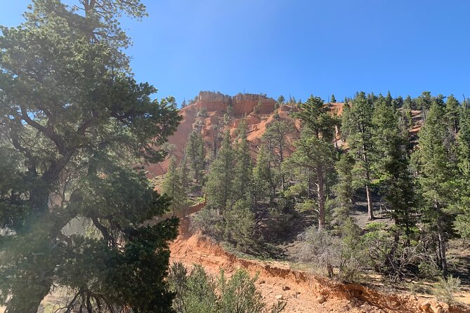 Rubys Horseback Adventures Utah Half Day Ride - Frequently Asked Questions