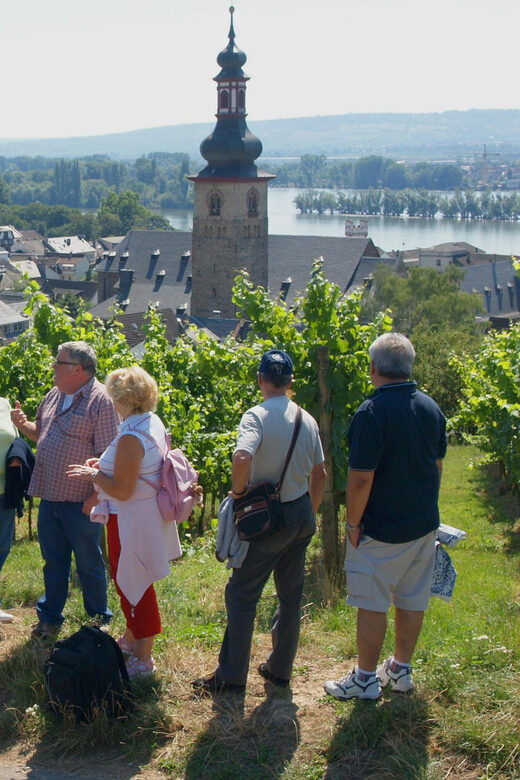 Rüdesheim am Rhein: city tour - Introduction