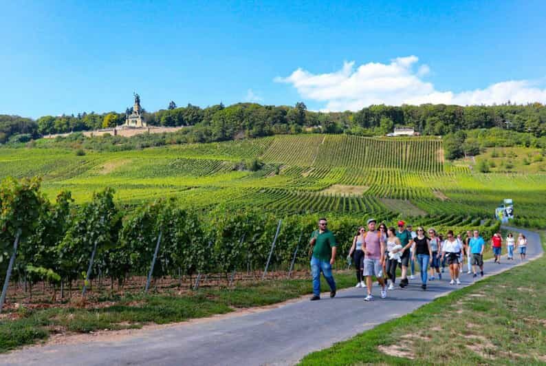 Rüdesheim - Guided wine hikes with 4wines and cable car ride - Key Points