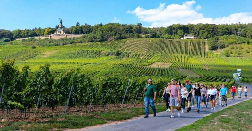 Rüdesheim - Guided wine hikes with 4wines and cable car ride - Final Thoughts