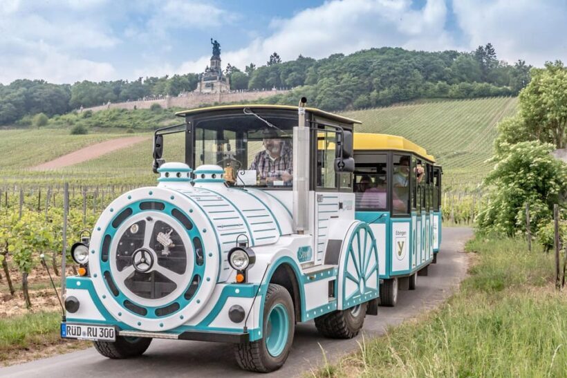Rüdesheim sightseeing tour with the Winzerexpress - The Guides and Language Options