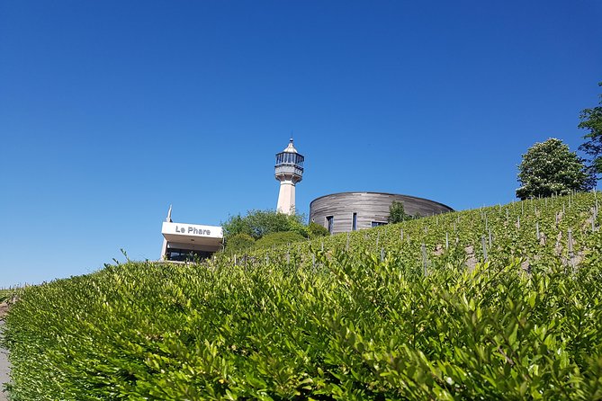 Ruinart Champagne Special Tour - Exploring the Ruinart Cellars