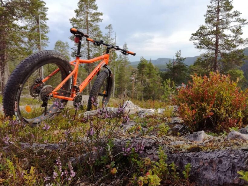 Ruka : Into the forest with fatbikes - Itinerary Breakdown: What to Expect from Start to Finish