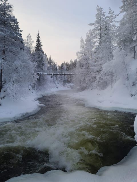 Ruka: Oulanka National Park Kìutaköngäs with lunch. - Discovering Oulanka National Park: What to Expect