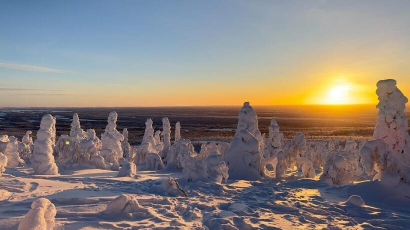 Ruka: Riisitunturi National Park with lunch. - Analyzing the Value: Is it Worth the Price?
