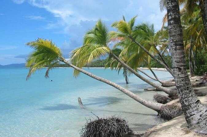 Rum and Salines paradise beach - The Sum Up