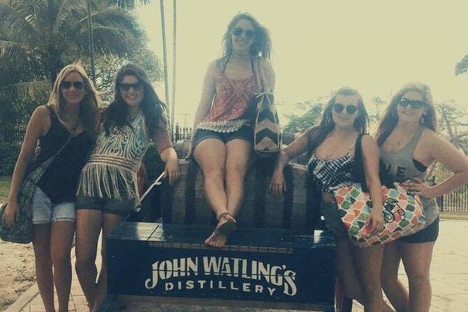 Rums and Reggae Tour (Shore Excursion) - Who Will Love This Tour?