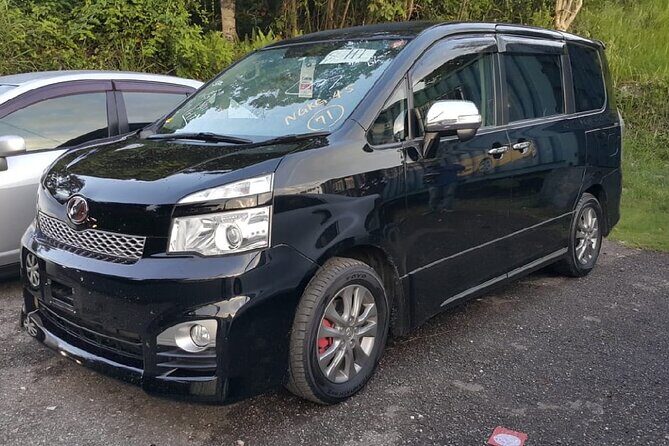 Runaway Bay Hotels Private Airport Transfer - Who Should Consider This Transfer?