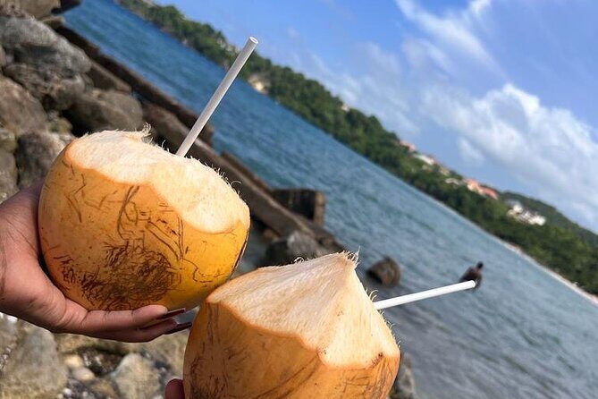 Runaway Bay Transportation Tour Experience - What to Expect from the Runaway Bay Transportation Tour