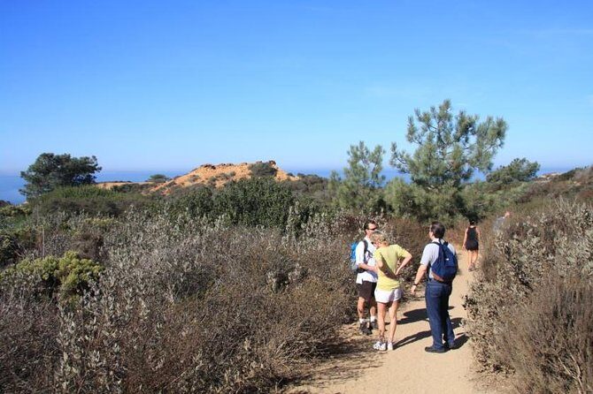 Runyon Canyon Hiking Tour - Final Thoughts