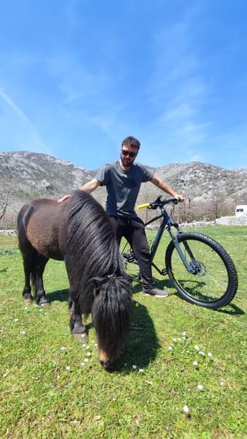 Rural biking & wine tasting tour - Detailed Breakdown of the Itinerary