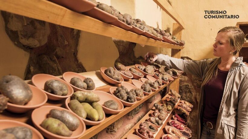 Rural Community Tourism in the Potato Park - Sacred Valley - What Is the Potato Park Tour All About?