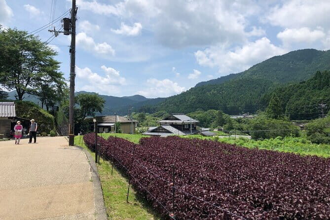 Rural Kyoto One Day Tour of a Tranquil Landscape in Ohara - Sanzen-in Temple – The Heart of the Journey