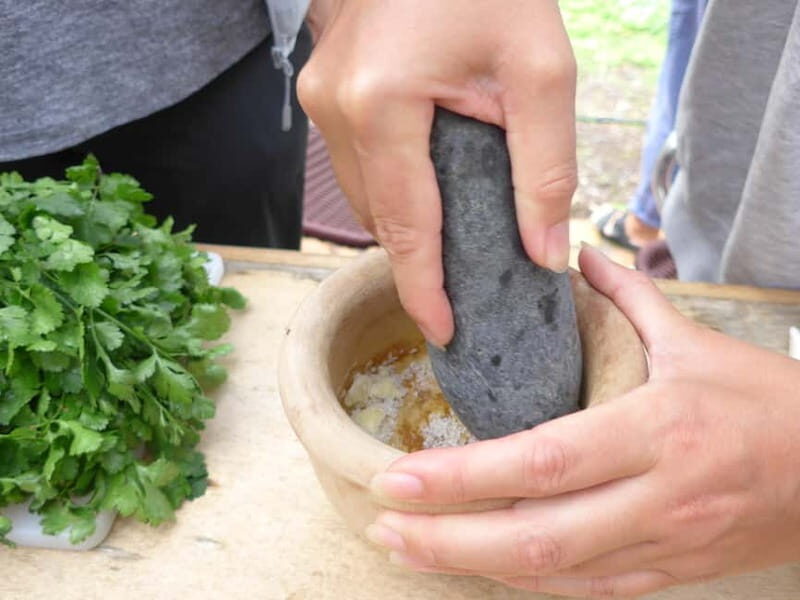 Rural Life Experience: Mojo Workshop and botanical Walk - An In-Depth Look at the Tour