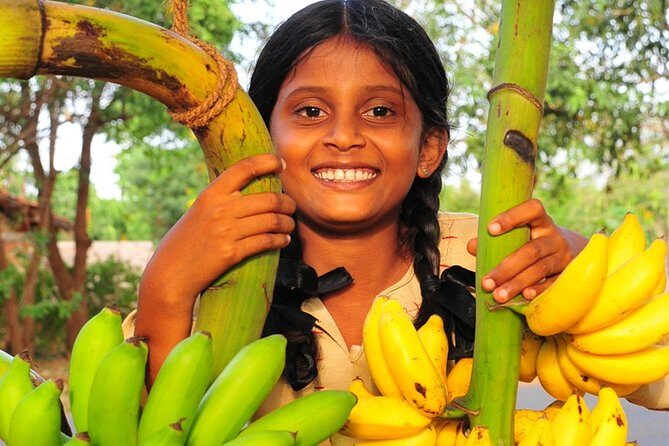 Rural Sri Lanka (13 N / 14 D) - Exploring the Heart of Sri Lanka’s Countryside