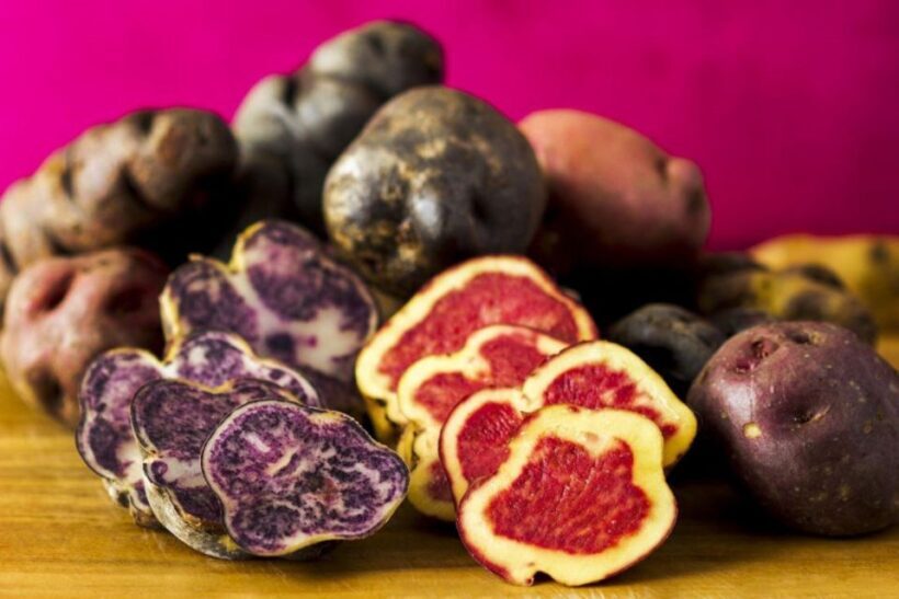 Rural Tourism in the Potato Park - Sacred Valley - Additional Practical Details