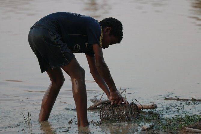 Rural Village with Ox Cart Journey & Monk Blessing - The Sum Up
