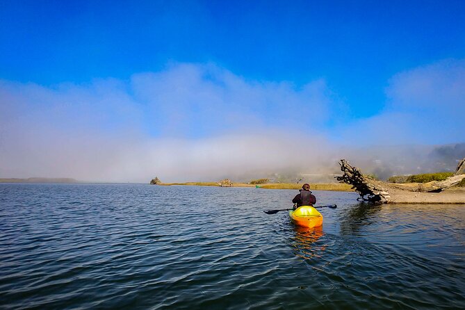 Russian River Kayak Tour at the Beautiful Sonoma Coast - Highlights of the Experience