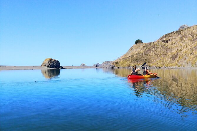 Russian River Kayak Tour at the Beautiful Sonoma Coast - Accessibility and COVID-19 Precautions