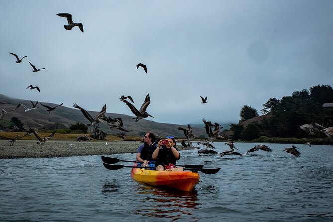 Russian River Kayak Tour at the Beautiful Sonoma Coast - Clothing and Weather Considerations