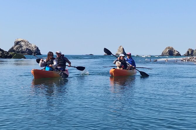 Russian River Kayak Tour at the Beautiful Sonoma Coast - Customer Feedback and Ratings