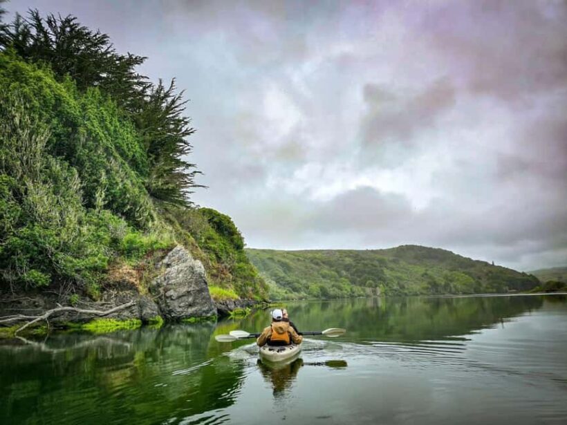 Russian River: Kayak Tour - The Experience in Depth